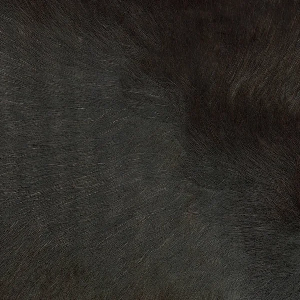 Brown Fur Texture Useful Background Stock Photo by ©natalt 255722454