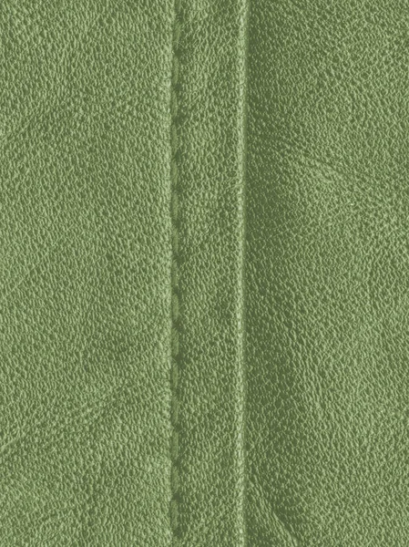 Green leather book Stock Photos, Royalty Free Green leather book Images ...