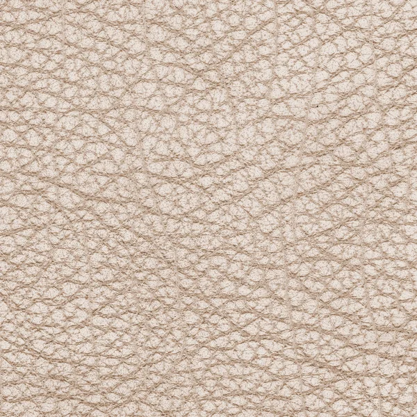 White skin texture Stock Photos, Royalty Free White skin texture Images ...