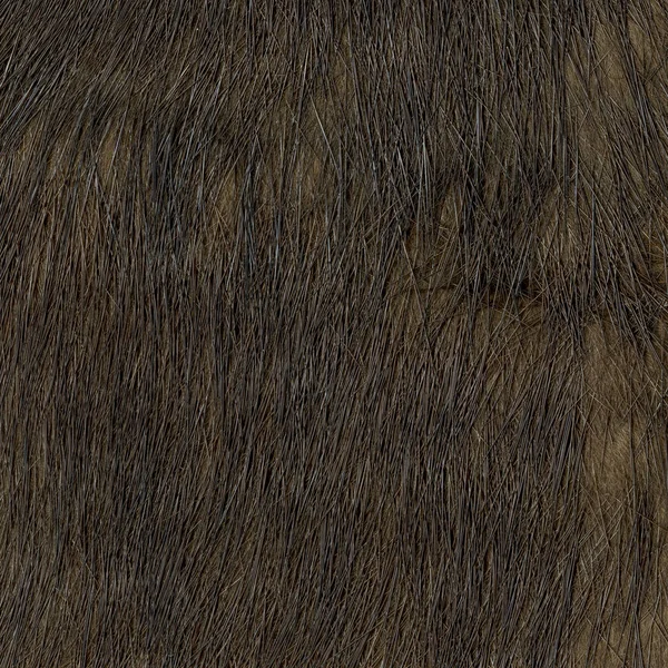 Horse hair texture Stock Photos, Royalty Free Horse hair texture Images ...
