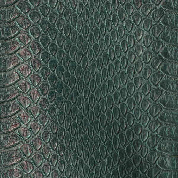 Dark green snake skin texture or background — Stock Photo © natalt ...