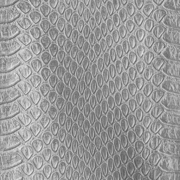 Gray artificial snake skin texture as background — Stock Photo © natalt ...