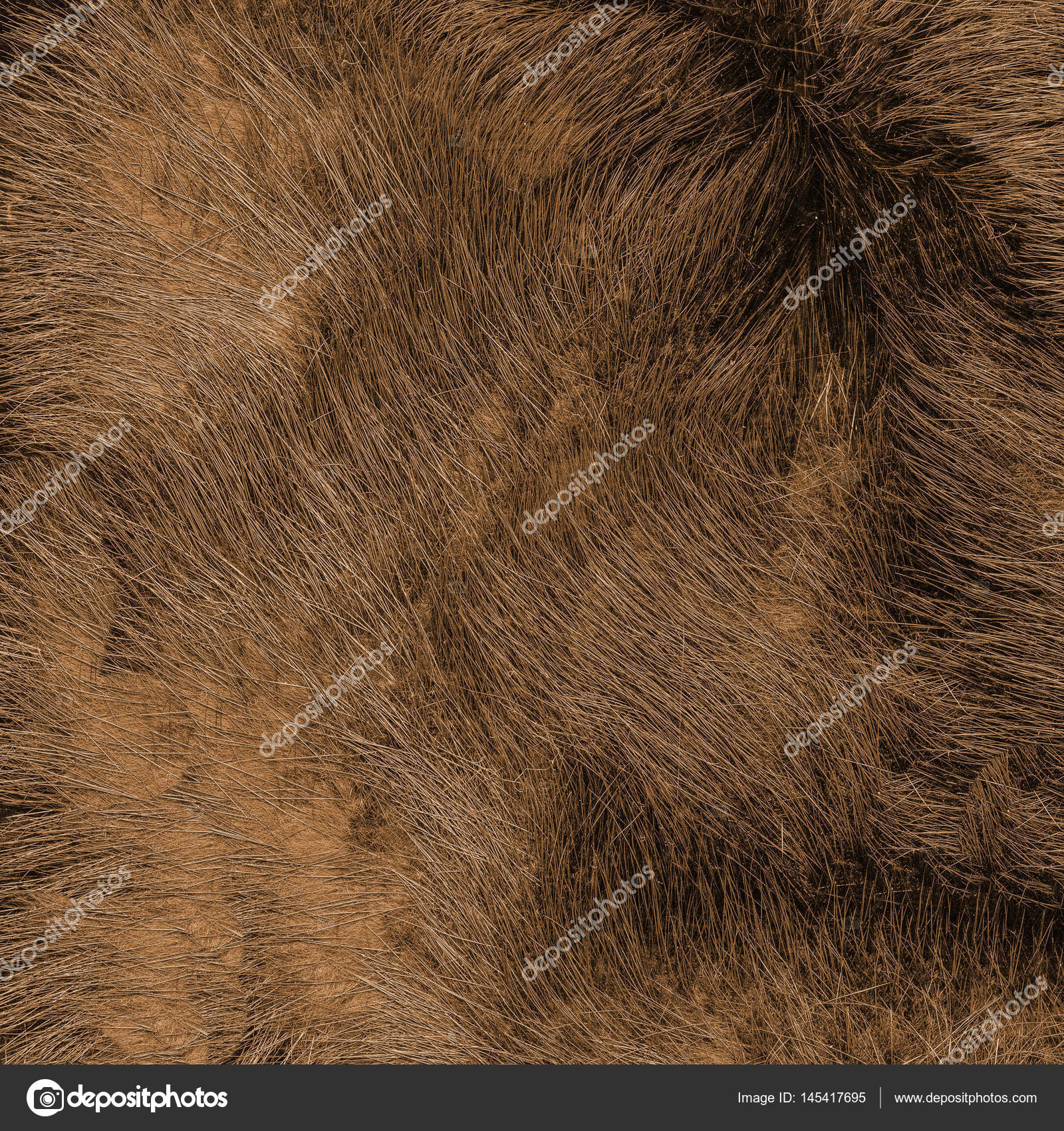 Light brown natural fur texture closeup Stock Photo by ©natalt 145417695