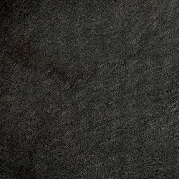 Brown Fur Texture Useful Background Stock Photo by ©natalt 255722454