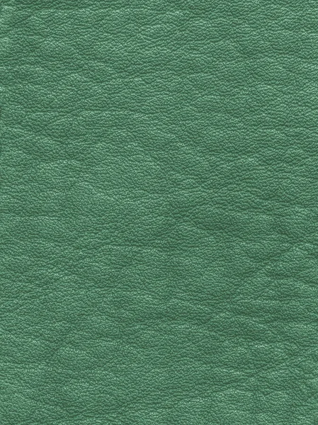 Green leather texture, — Stock Photo © natalt #120588364
