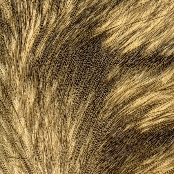 Seamless fur texture Stock Photos, Royalty Free Seamless fur texture ...