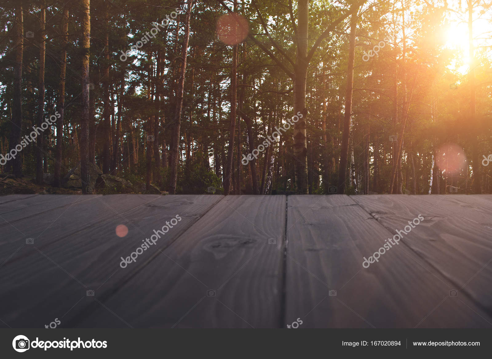 Summer forest at sunset — Stock Photo © VadimVasenin #167020894