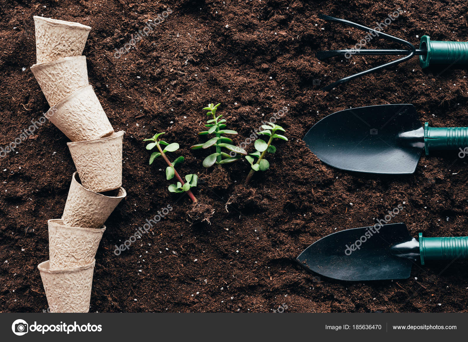 Top View Green Plants Roots Empty Pots Gardening Tools Soil Stock Photo ...