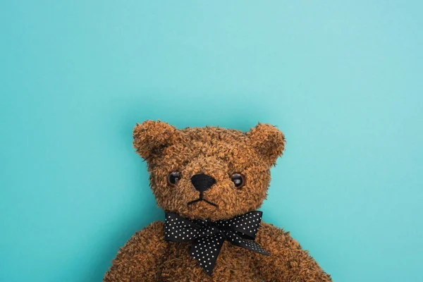 Background bear Stock Photos, Royalty Free Background bear Images ...