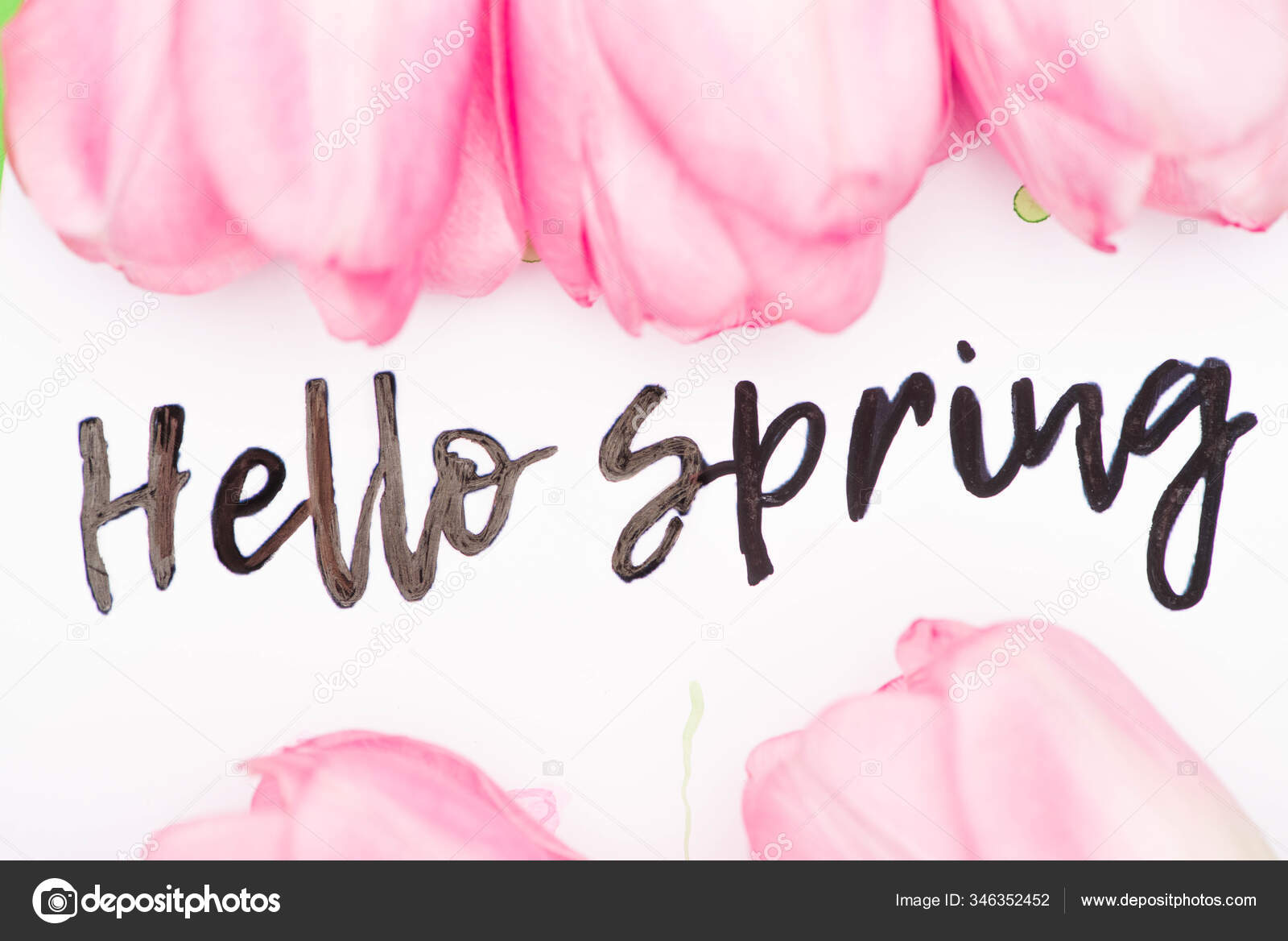 Top View Hello Spring Lettering Pink Tulips White Background — Stock ...