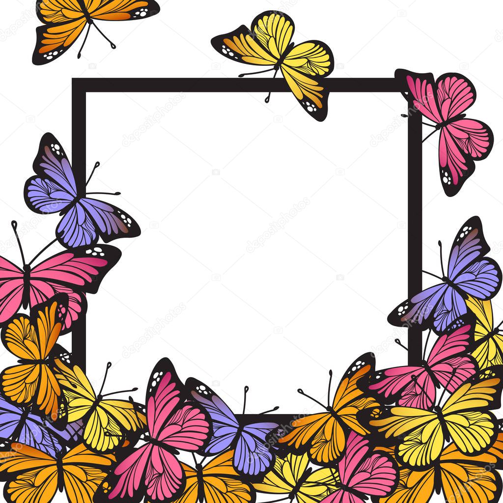 Tarjetas De Felicitación De Mariposas