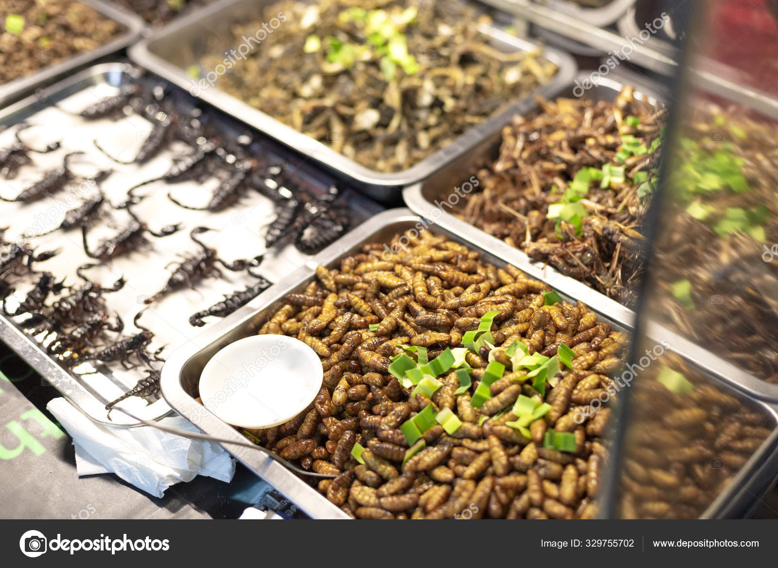 Worms, larvae, scorpions and other local asian snacks on the street ...