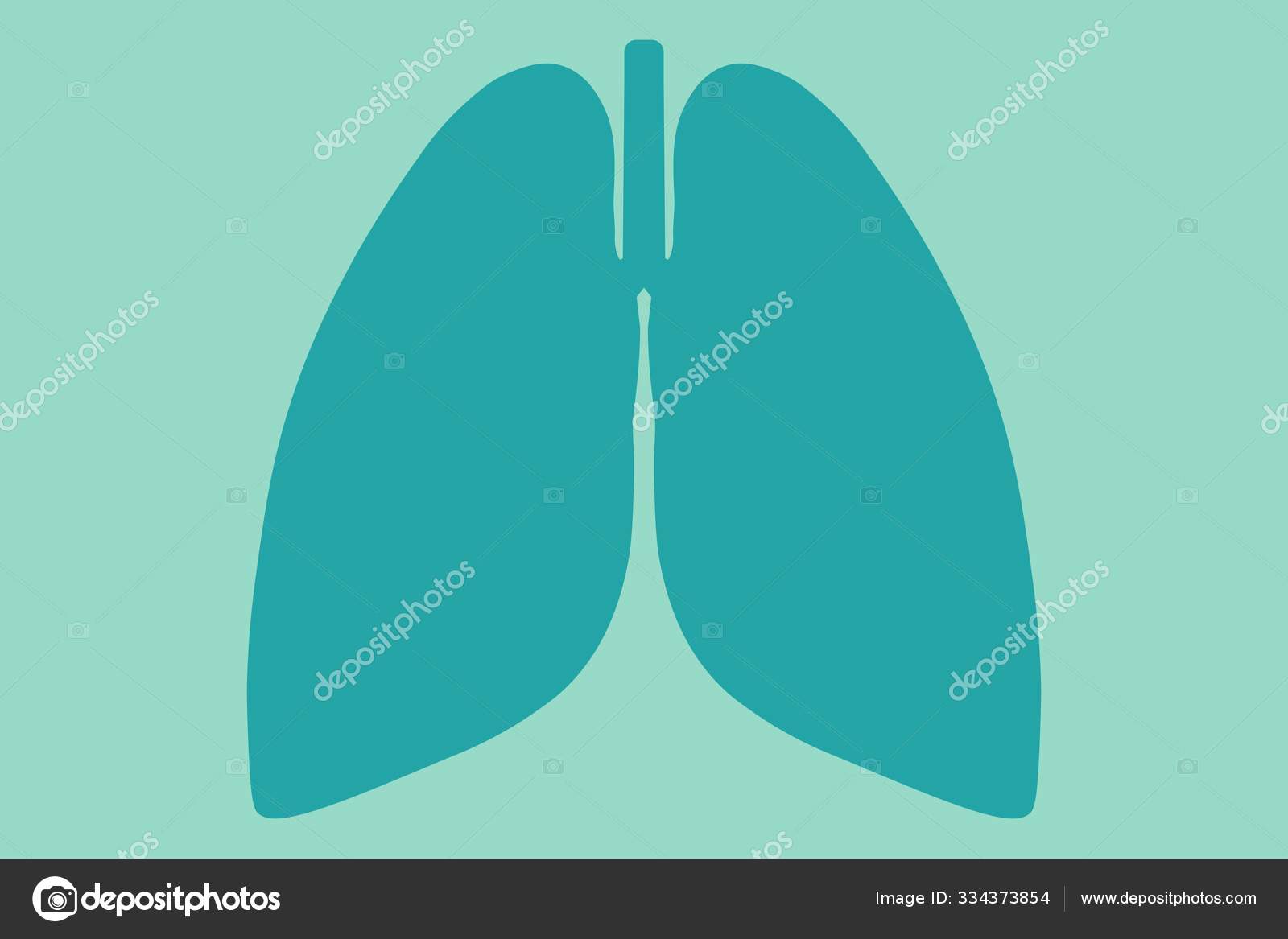 Anatomically correct lungs silhouette. Modern design of medical ...