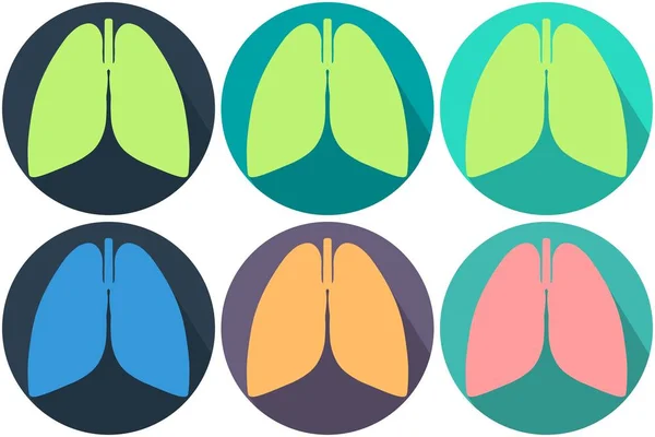 Anatomically correct lungs silhouette. Modern design of medical ...