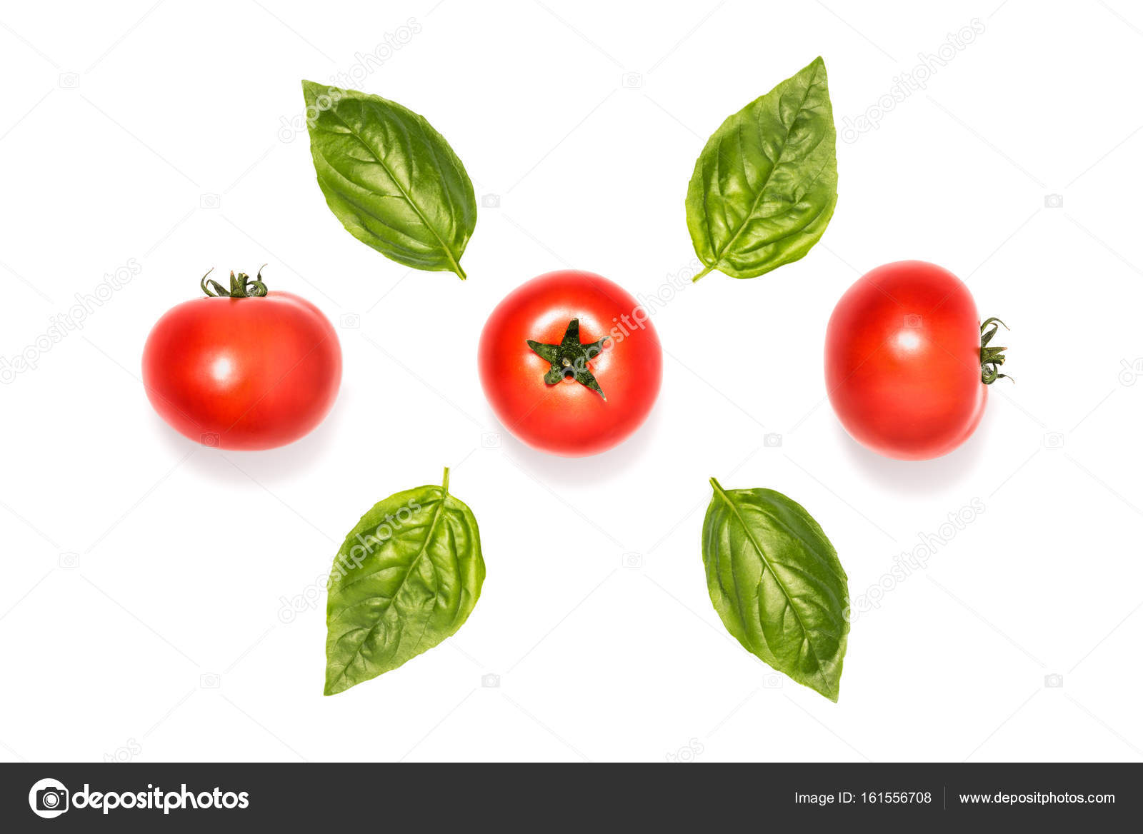 Composition of tomatoes with basil leaves — Stock Photo © AntonMatyukha ...