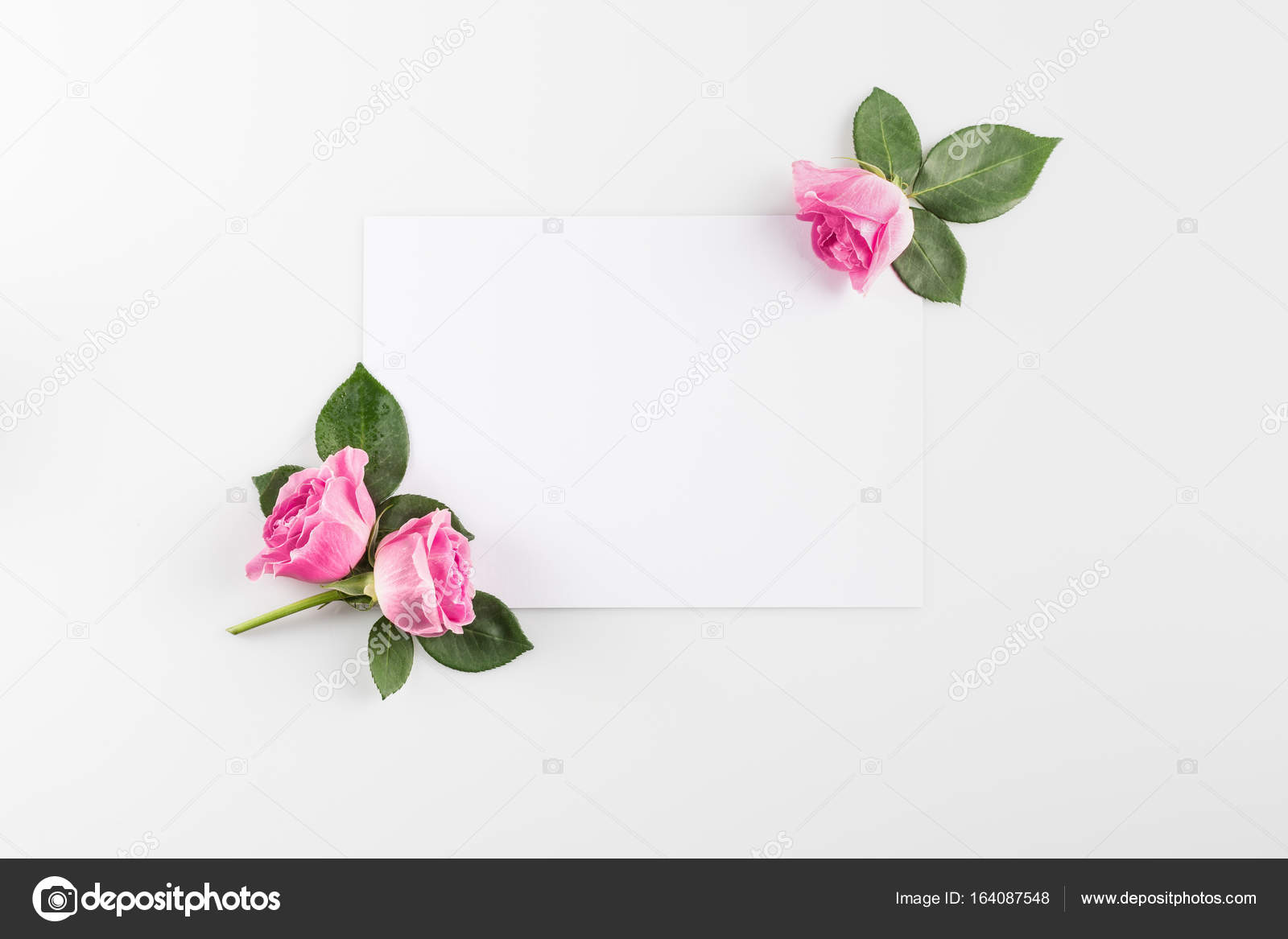 Pink roses and blank card Stock Photo by ©AntonMatyukha 164087548