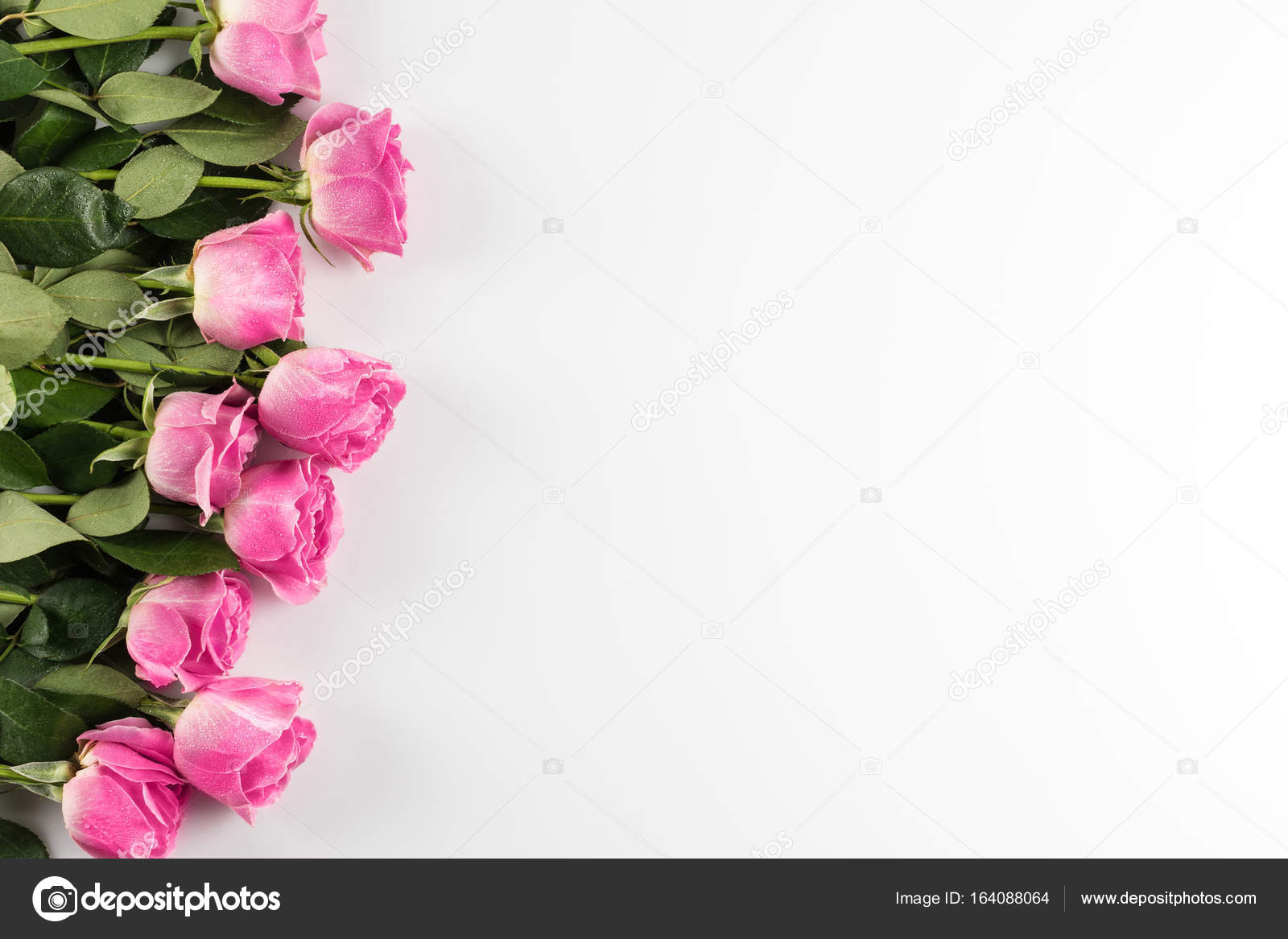 Pink roses with copy space — Stock Photo © AntonMatyukha #164088064