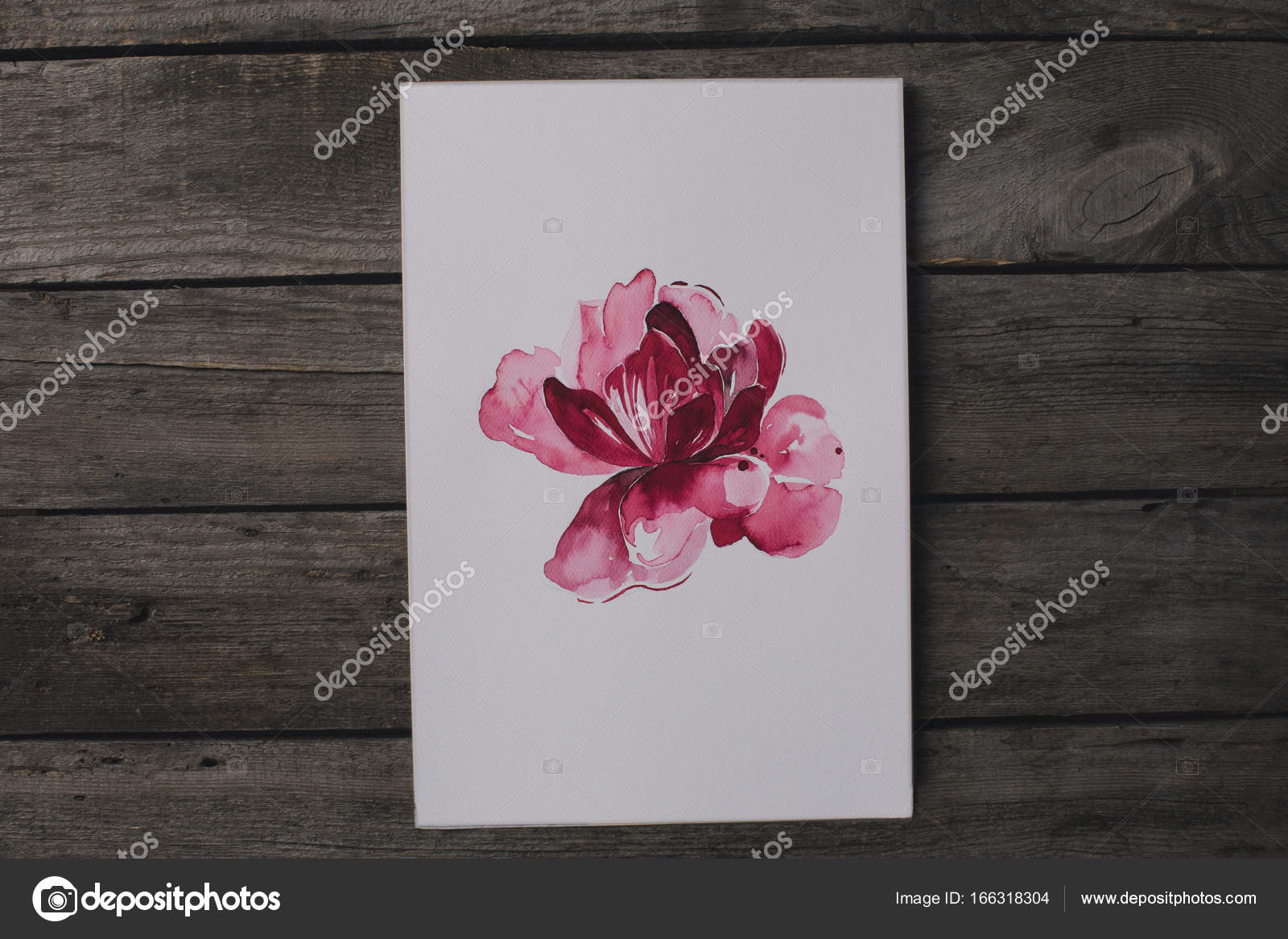 Watercolor — Stock Photo © AntonMatyukha #166318304