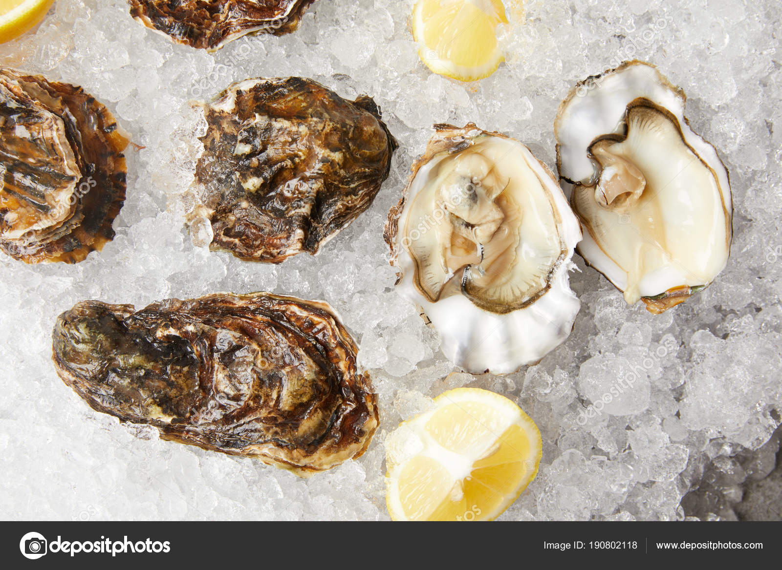 Oysters Stock Photo by ©AntonMatyukha 190802118