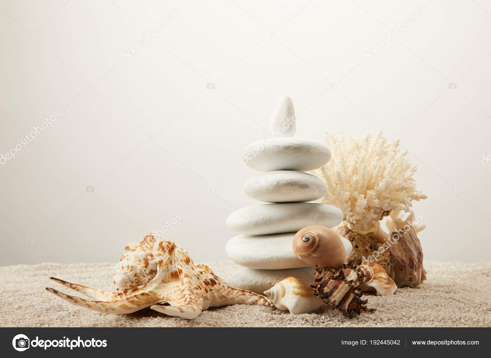 Close View Arranged White Sea Stones Seashells Sand Grey Background ...