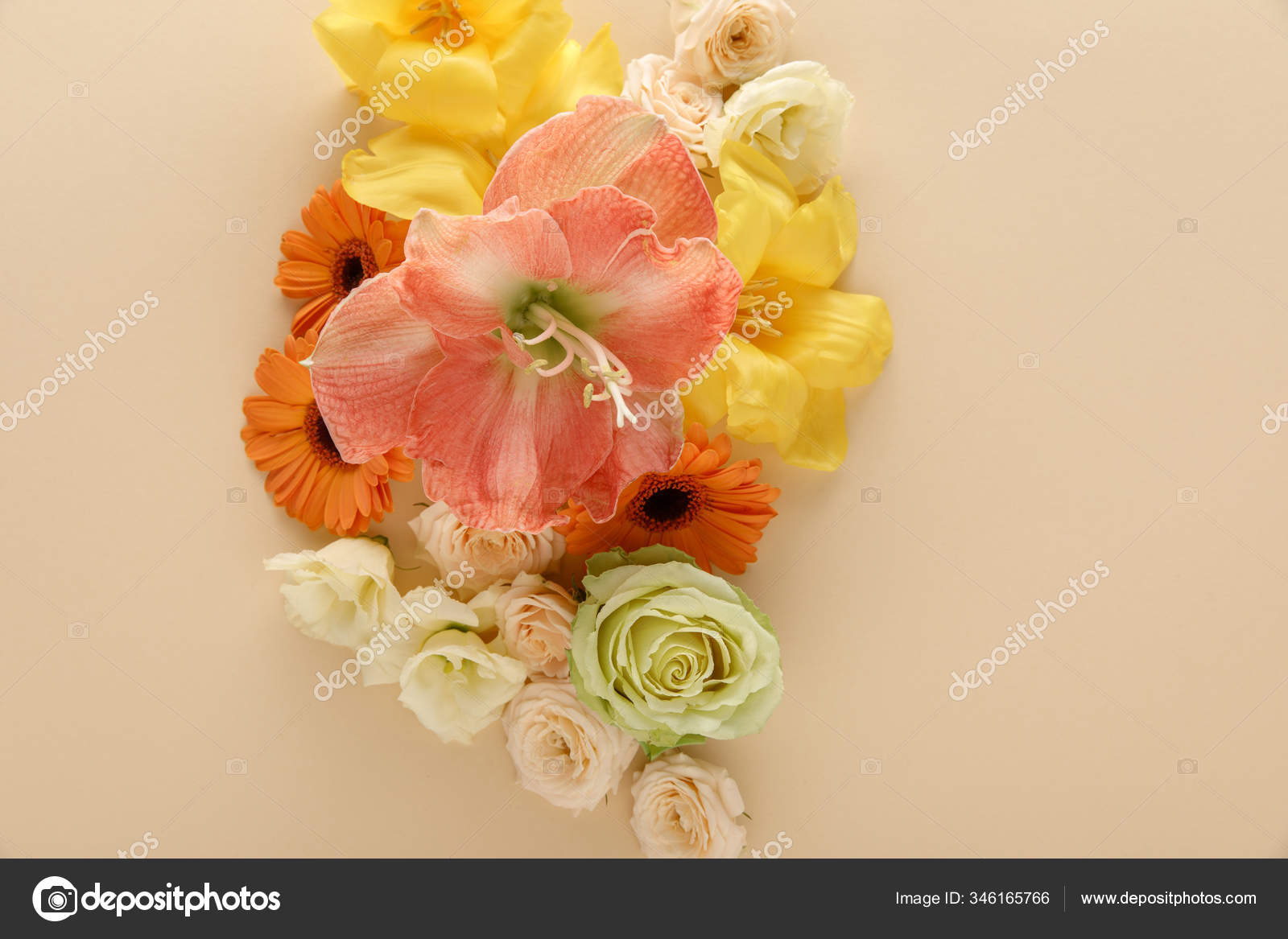 Top View Spring Floral Bouquet Beige Background — Stock Photo ...