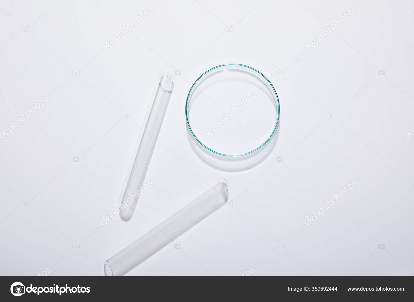 Top View Laboratory Petri Dish Test Tubes Grey Background Stock Photo ...
