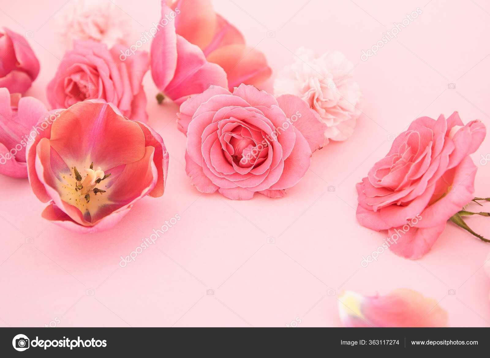 Blooming Spring Flowers Pink Background — Stock Photo © AntonMatyukha ...