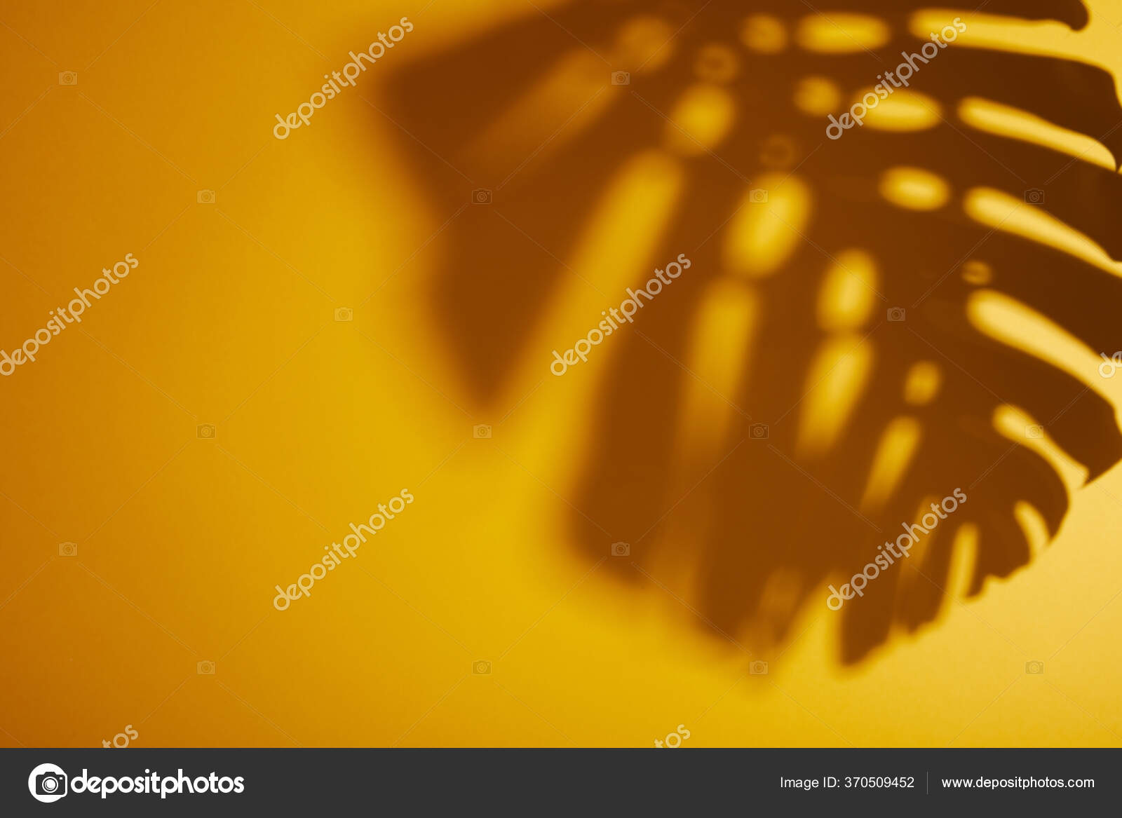 Tropical Leaf Shadow Yellow Background — Stock Photo © AntonMatyukha ...