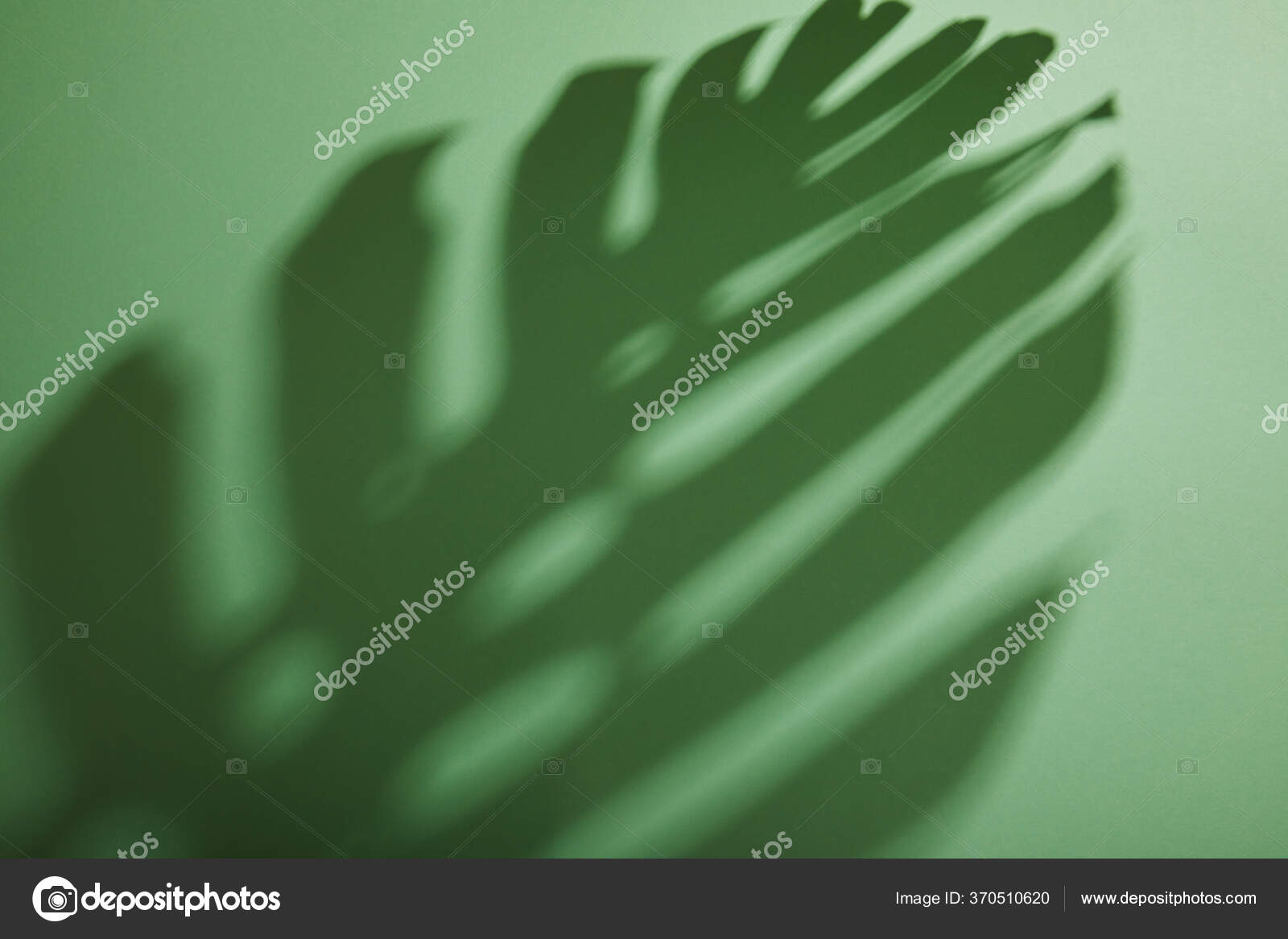 Tropical Leaf Shadow Green Background — Stock Photo © AntonMatyukha ...