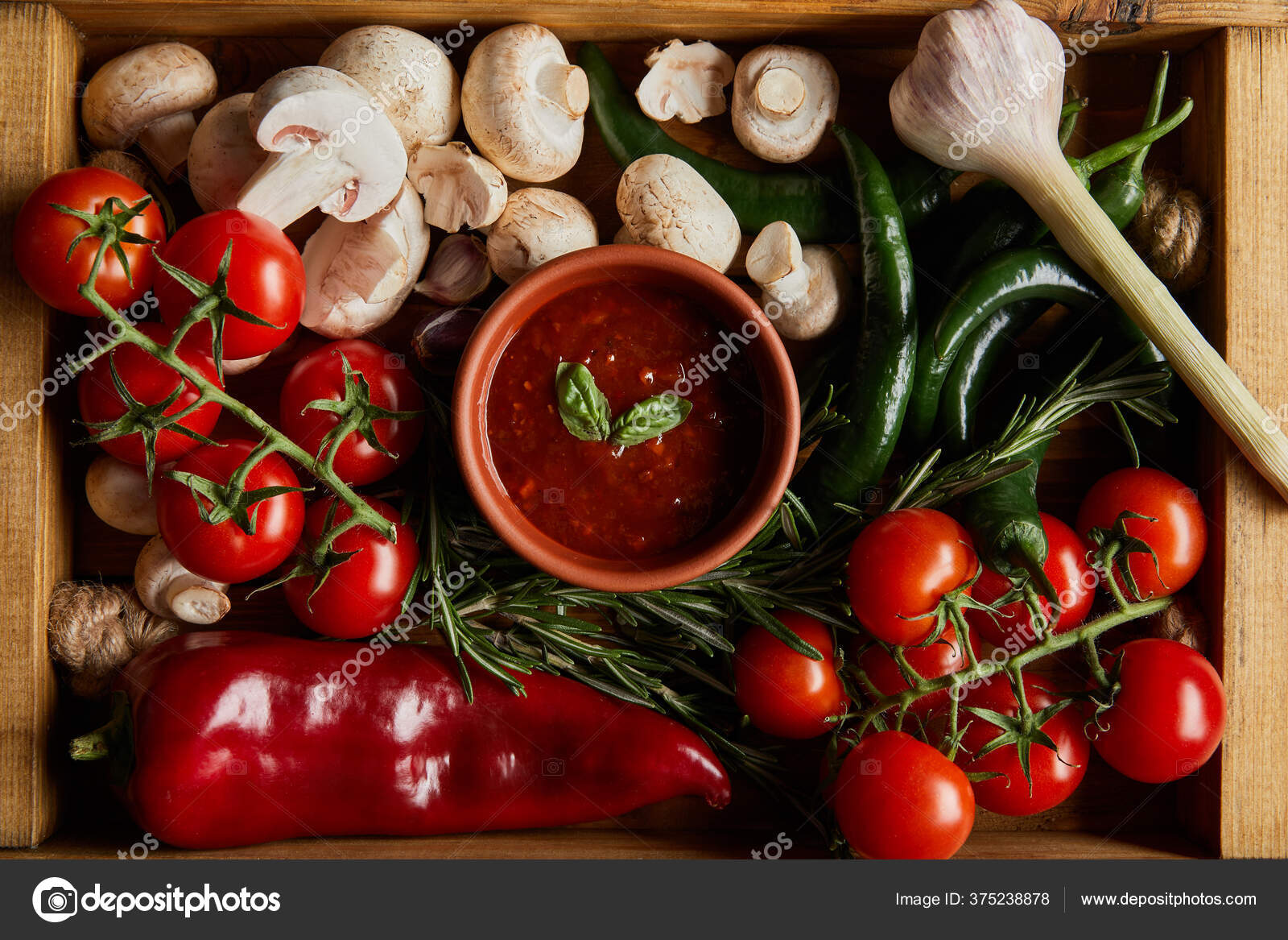 Top View Tomato Sauce Basil Leaves Cherry Tomatoes Green Chili — Stock ...