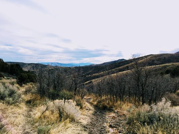 Kit carson national forest Stock Photos, Royalty Free Kit carson ...