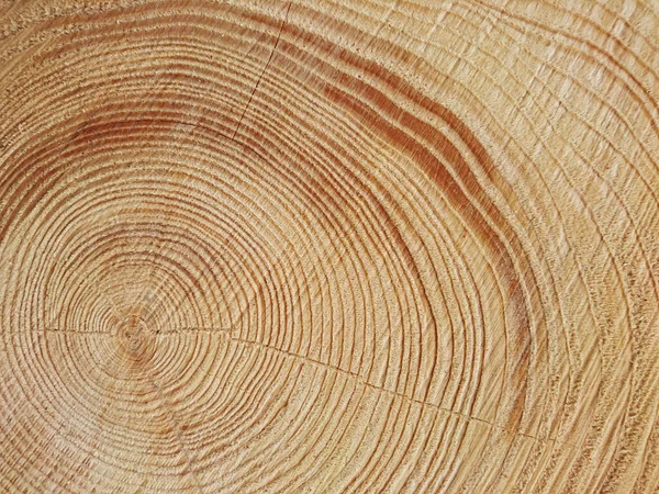 wood grain, cut wood as background - Stock Image - Everypixel