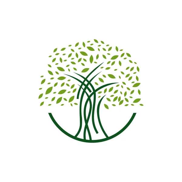 Eco Tree Logo Stock Vector Image by ©elaelo #72593793