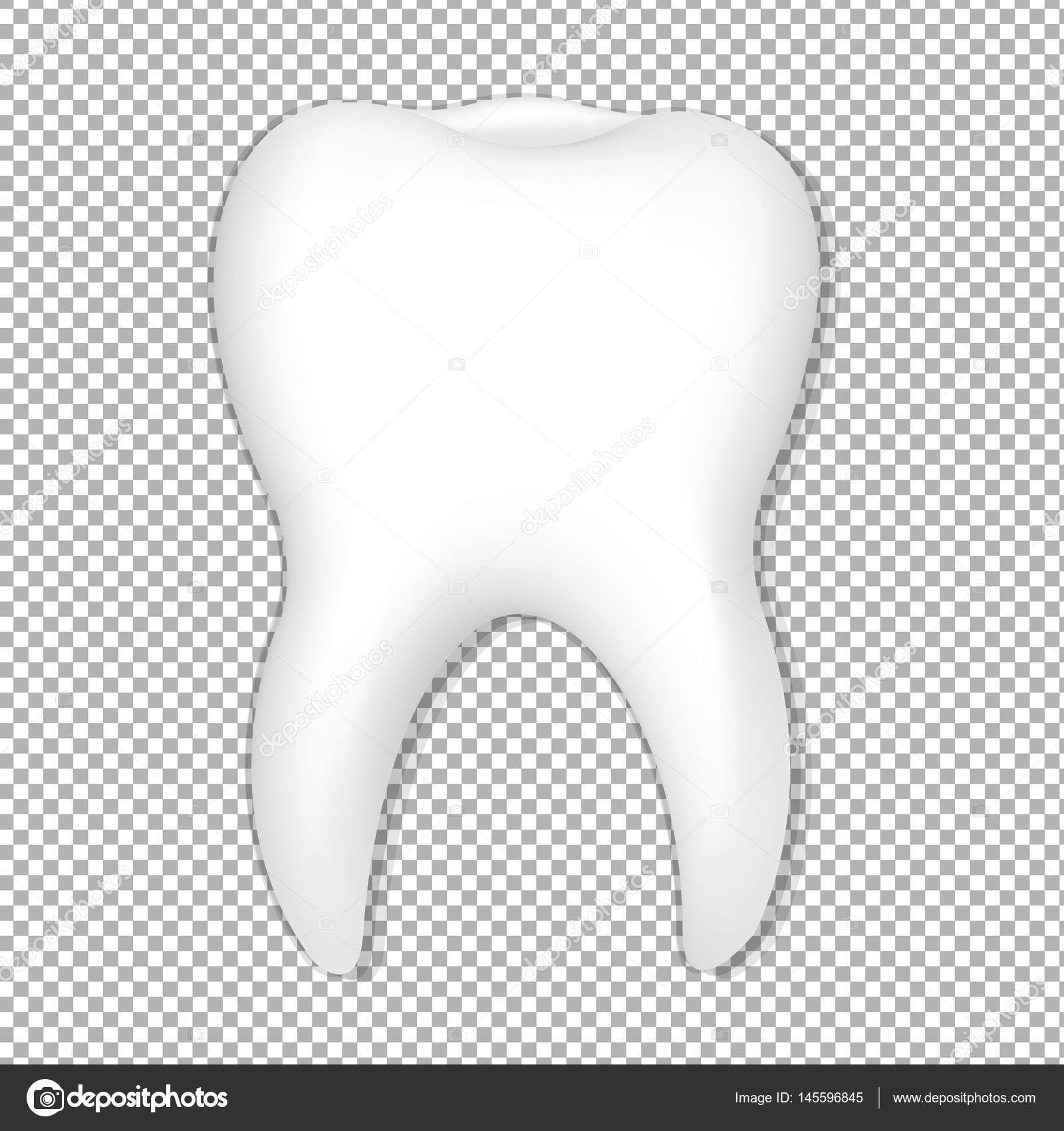 Tooth Vector Png