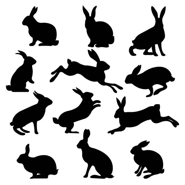 Running Rabbit Vector
