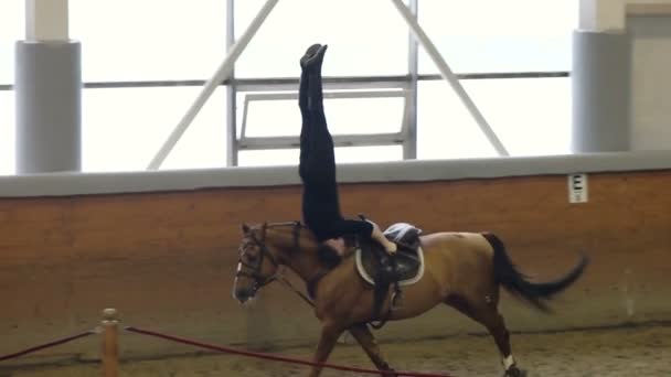 86 Horse vaulting Videos, Royalty-free Stock Horse vaulting Footage ...
