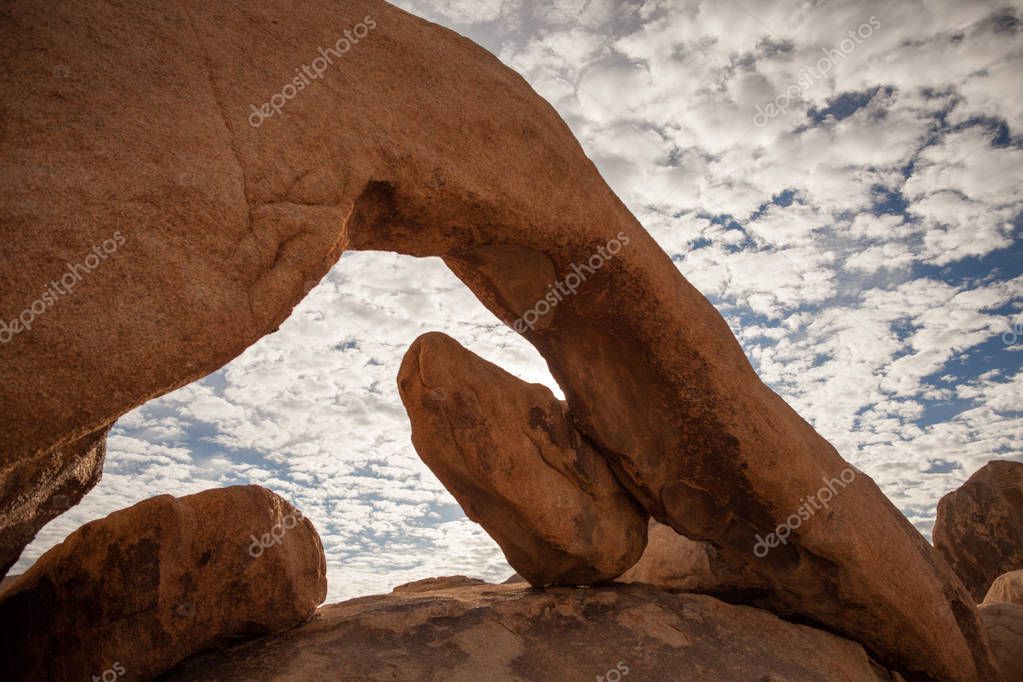 Parque Nacional Joseph Tree 2024