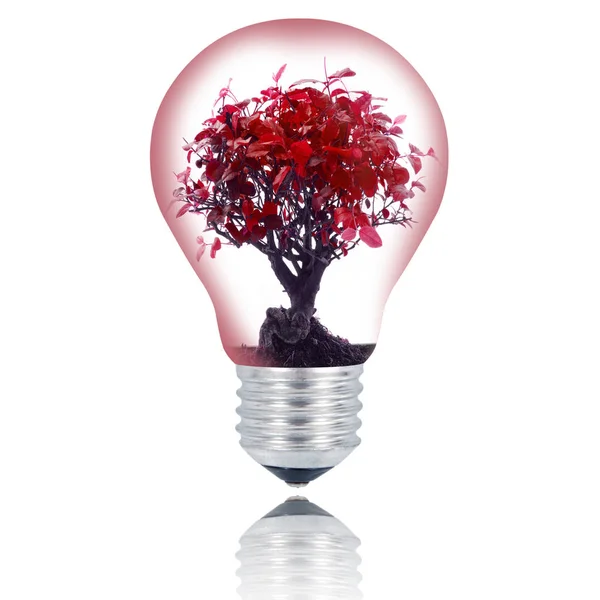 Tree in a light bulb Stock Photo by ©aspect3d 2403960