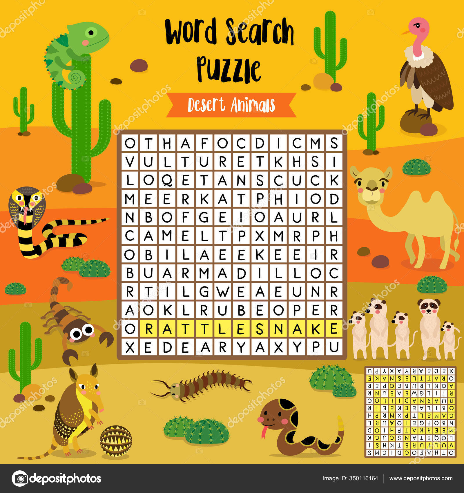 Desert Animals For Kids