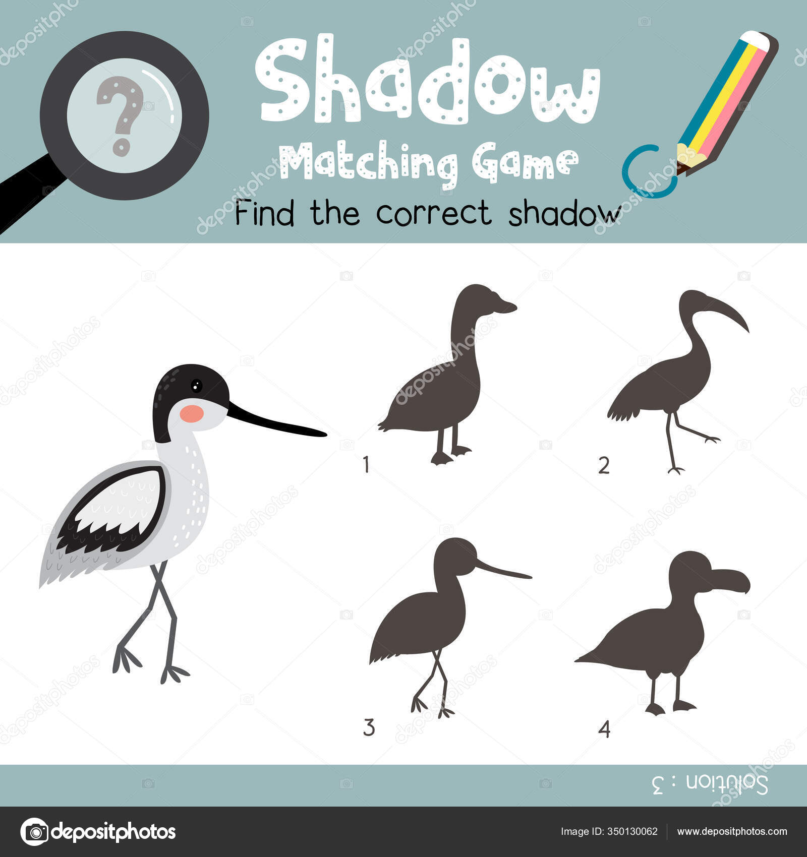Shadow Matching Game Avocet Bird Animals Preschool Kids Activity ...