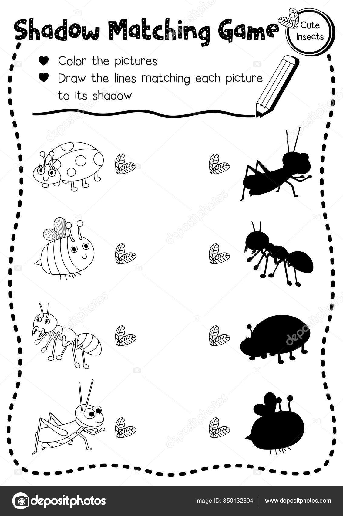 Shadow Matching Game Insect Bug Animals Preschool Kids Activity ...