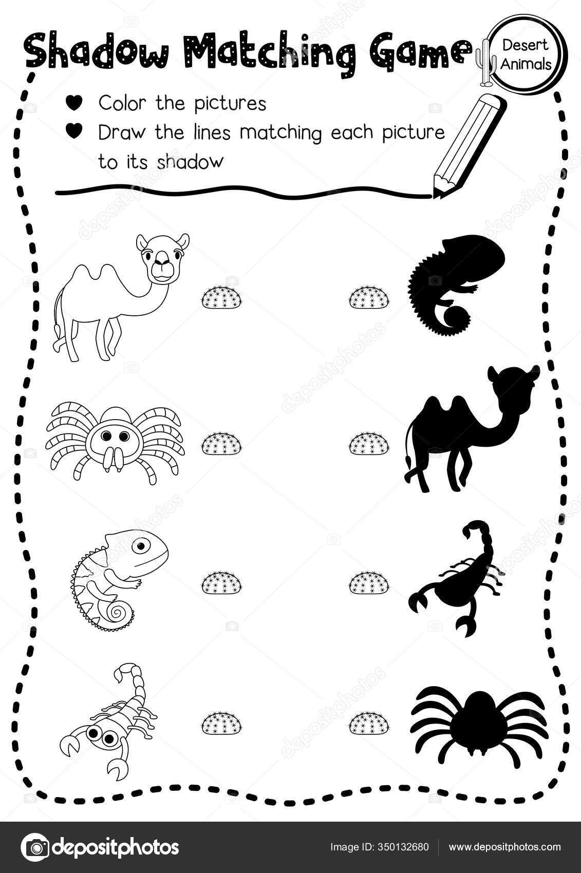 Desert Animals Drawings