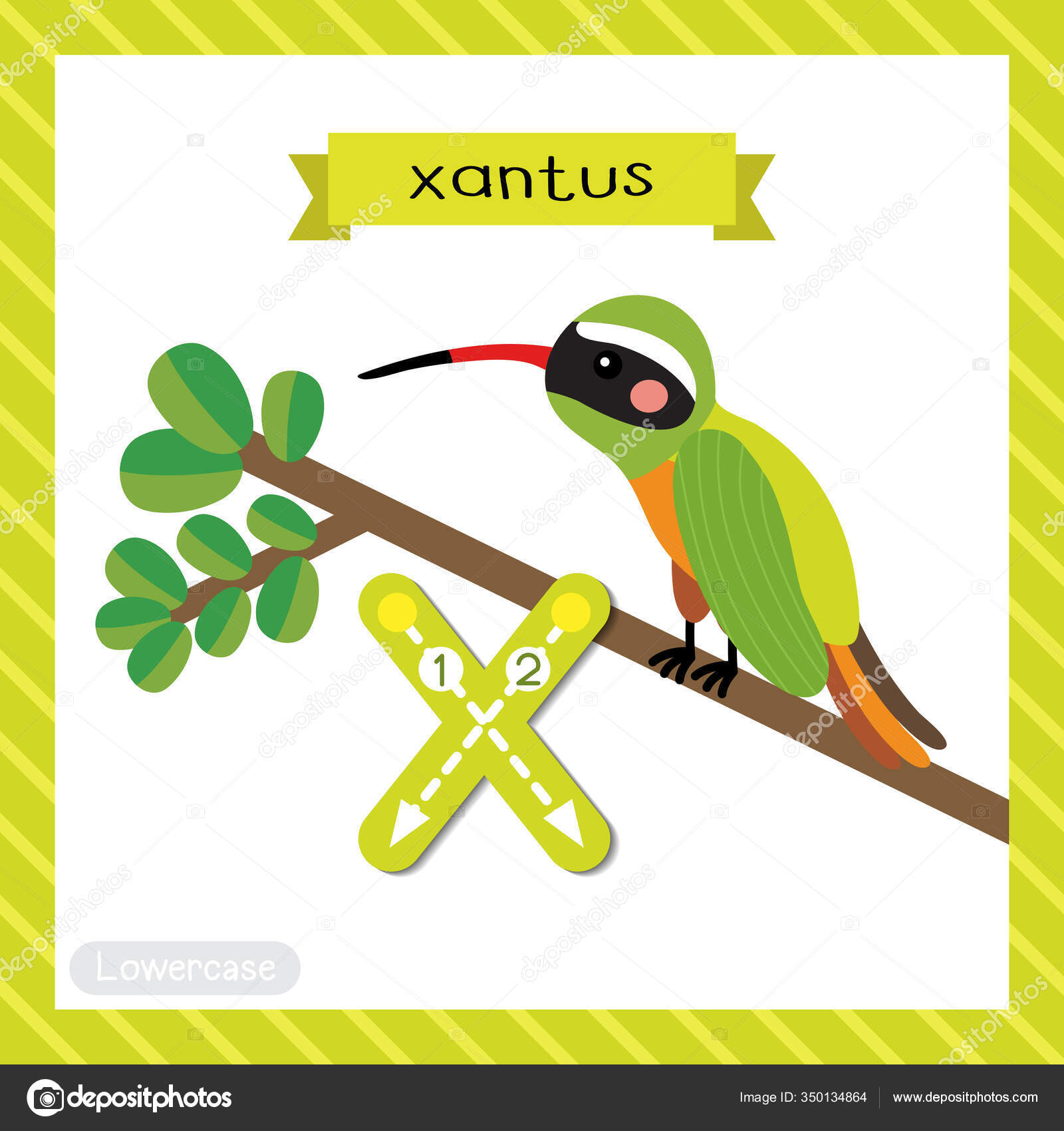 Xantus