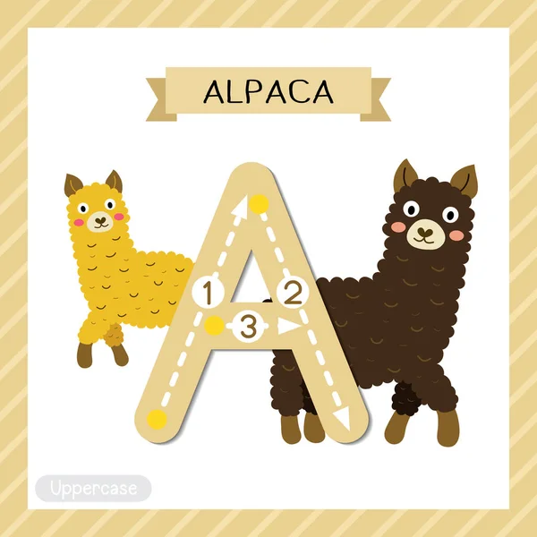 Letter Lowercase Cute Children Colorful Zoo Animals Abc Alphabet ...