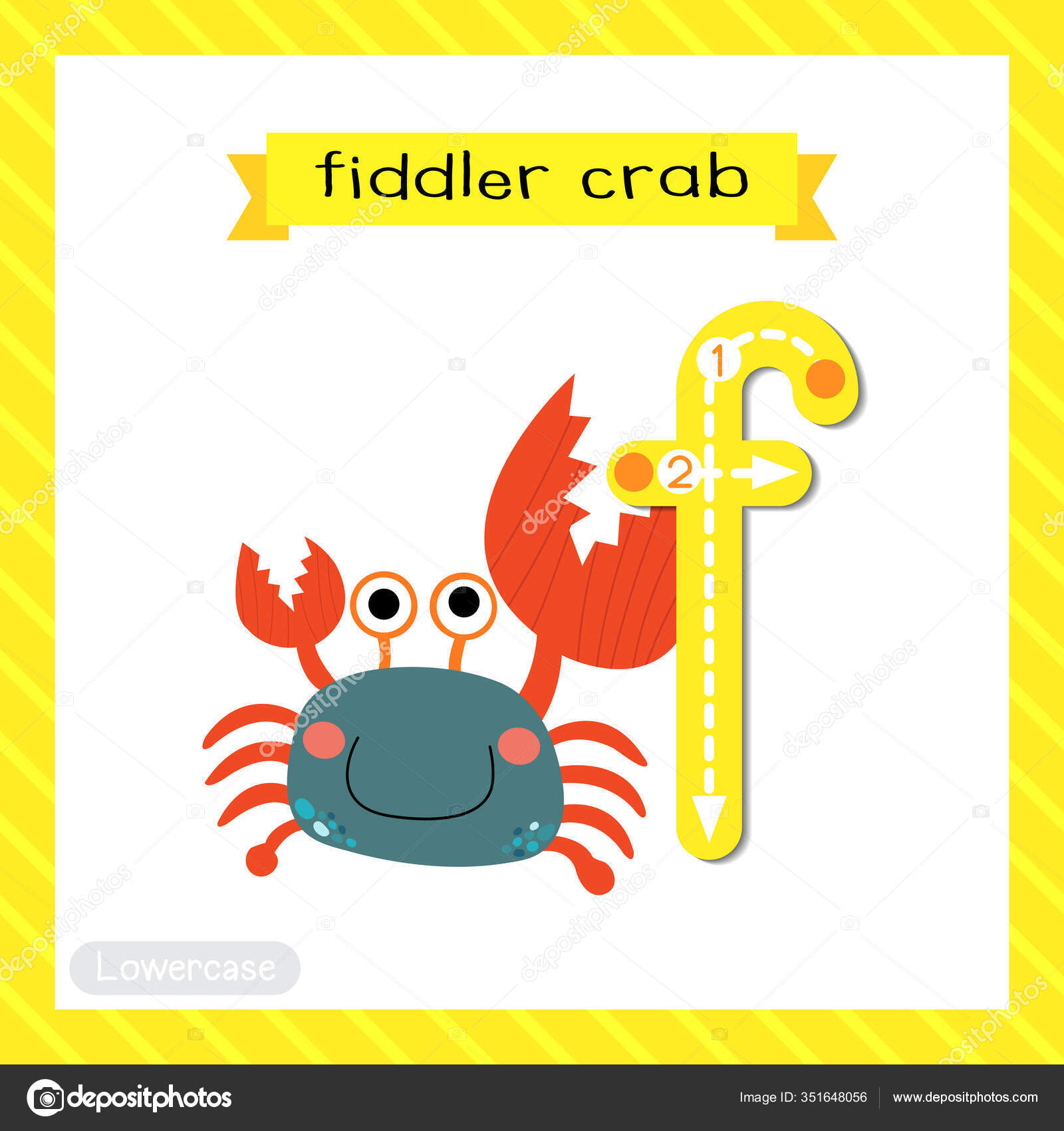 Fiddler Crab Worksheet