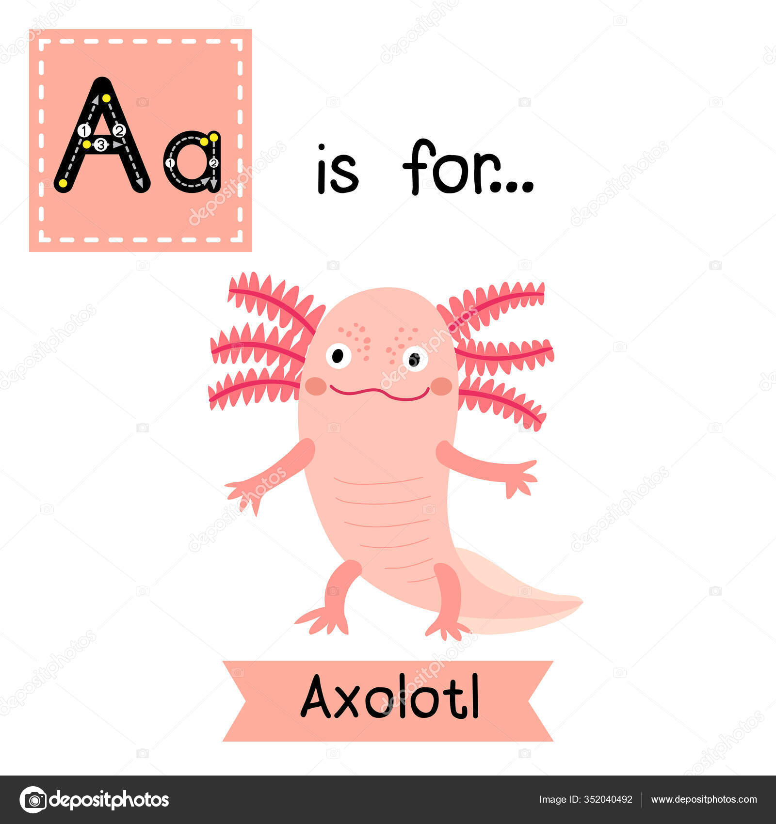 Letter Tracing Standing Axolotl Cute Children Zoo Alphabet Flash Card ...