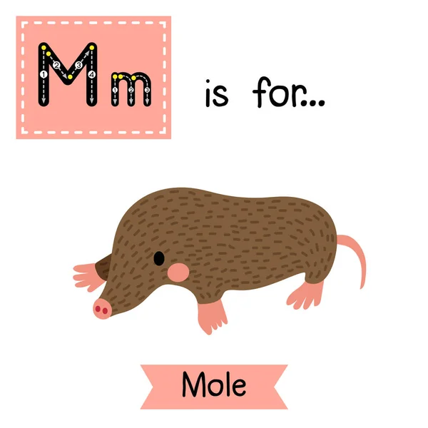 Abc mole Vector Art Stock Images | Depositphotos