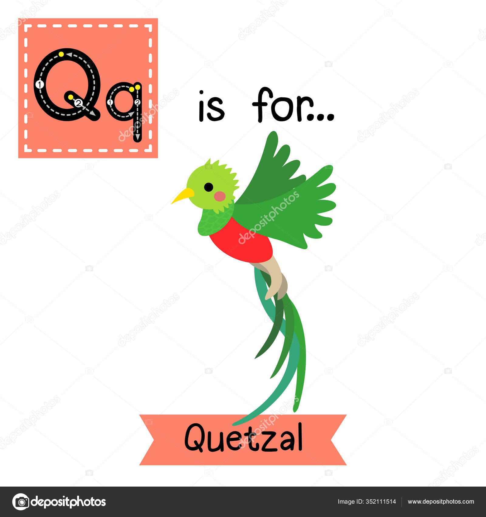 Baby Quetzals