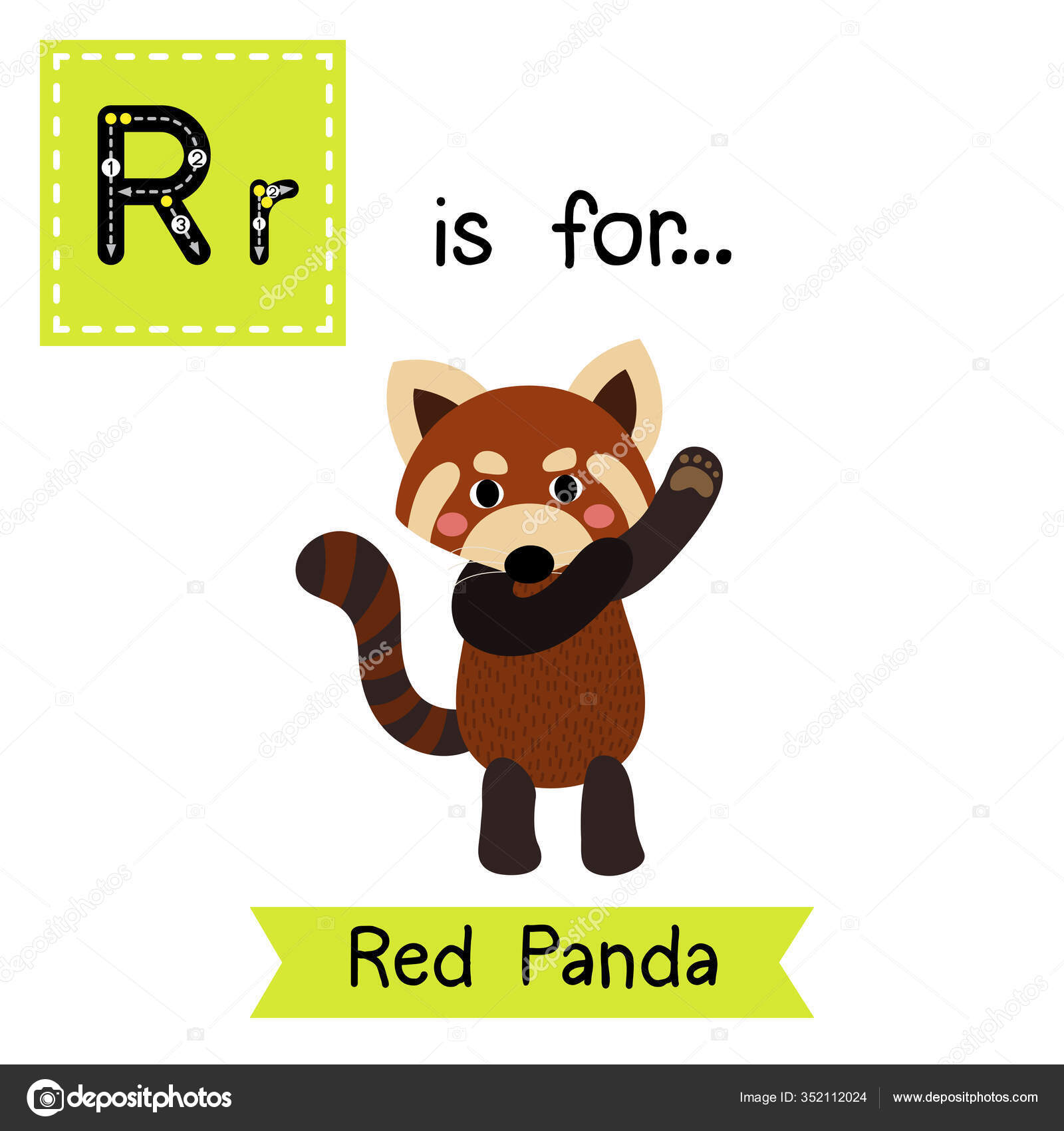 Letter Tracing Dancing Red Panda Stock Vector Image by ©natchapohn ...