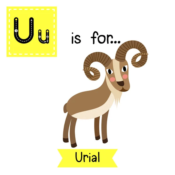 Urial Vector Images | Depositphotos